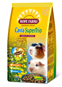 Cavio: Cavia Voeding